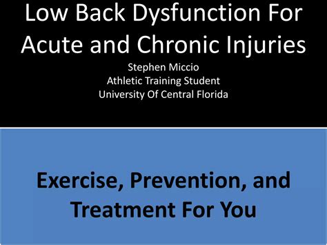 Low Back Dysfunction For Acute And Chronic Injuries Ppt