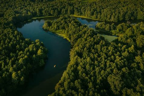 კოლხური ტყეები და ჭაობები Unesco ს მსოფლიო მემკვიდრეობის სიაში შევიდა