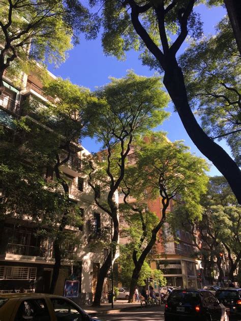 Angelina Leigh Angelina Leigh Profile Pinterest