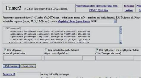 Primer3 Software Package Program For Selecting The Suitable Primers