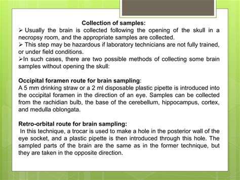 Rabies Pathology Rabies Causes Treatment Pdf Brain And Nervous