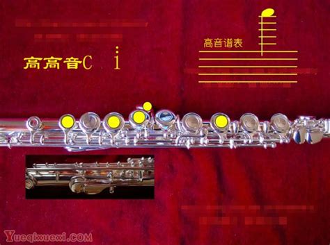 长笛指法图，史上最直观的长笛入门指法图 长笛入门 乐器学习网