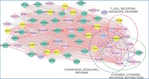 fgmd a novel approach for functional gene module detection in cancer