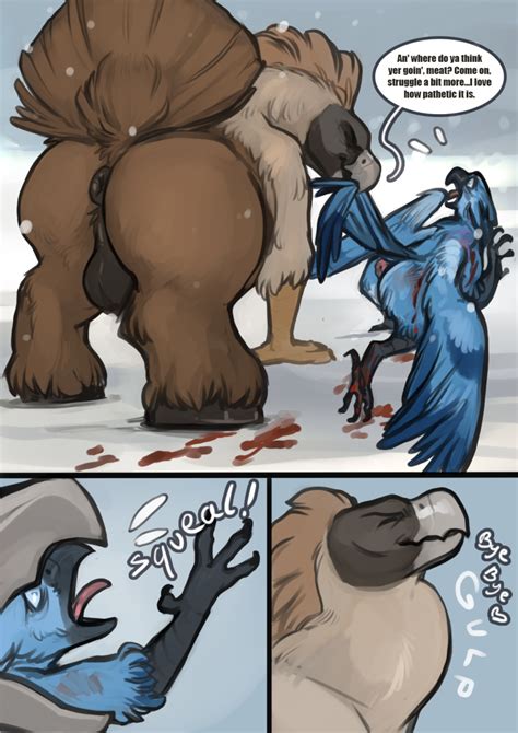 Rule 34 Accipitrid Accipitriform Anal Prolapse Anus Avian Balls Bird Bite Blood Bodily Fluids