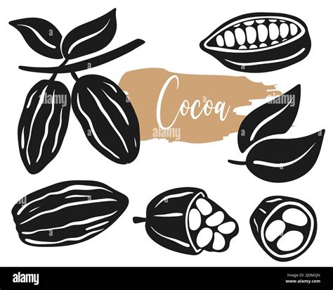 Cocoa Beans Isolated Vector Set Illustration Stock Vector Image And Art