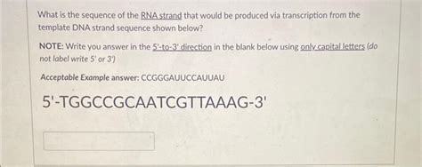 Solved What Is The Sequence Of The Rna Strand That Would Be