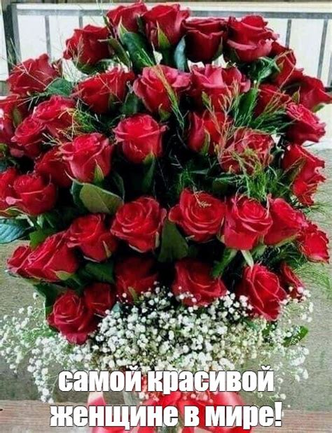 Мем самой красивой женщине в мире Все шаблоны Meme