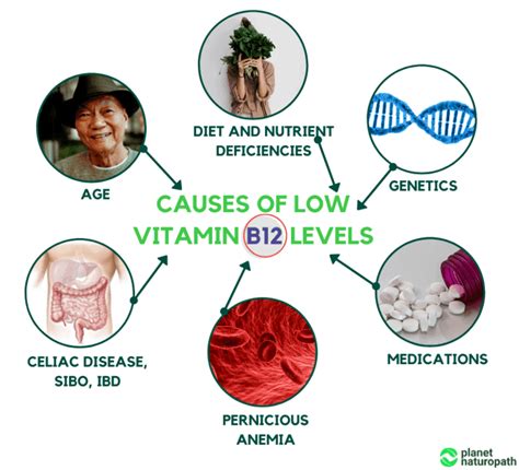 Vitamin B12 Guide How To Treat Vitamin B12 Deficiency Planet Naturopath