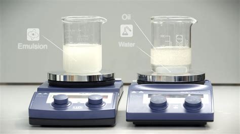 Misión Y Visión Palsgaard