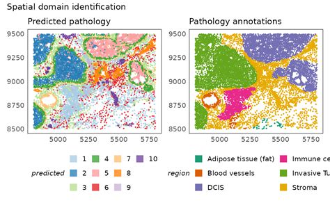Introduction To Imaging Based Spatial Transcriptomics Analysis 10x Xenium Breast Cancer
