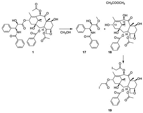 Semi Synthetic Synthesis Of Paclitaxel 1 From The Easy Available Download Scientific Diagram