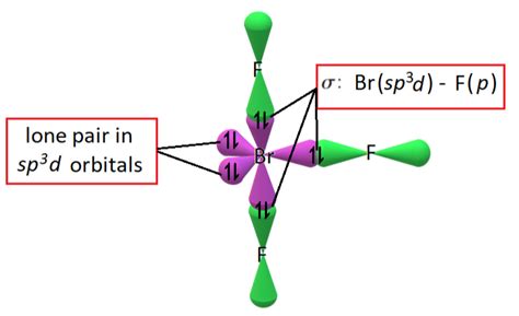 Write A Hybridization And Bonding Scheme For Each Molecule Quizlet