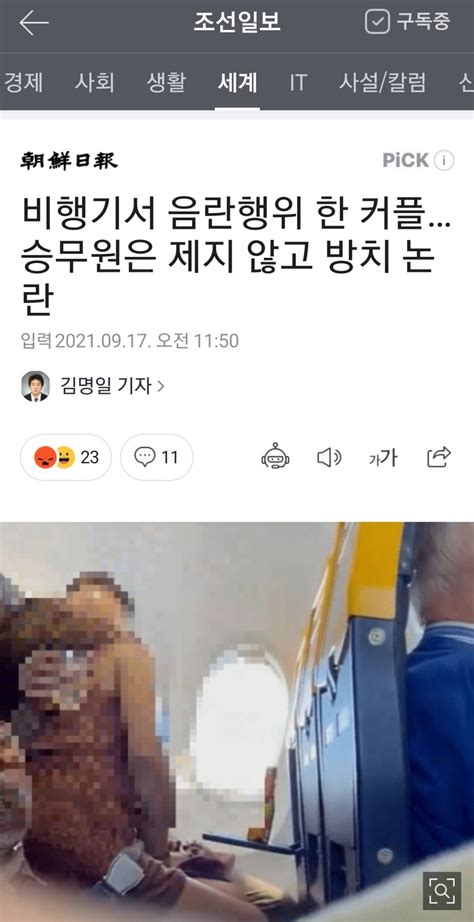 비행기에서 섹스한 커플 승무원은 제지 않고 방치 유머 움짤 이슈 에펨코리아
