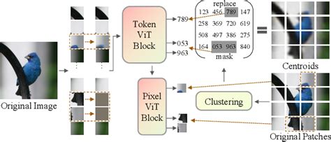 Centroid Centered Modeling For Efficient Vision Transformer Pre