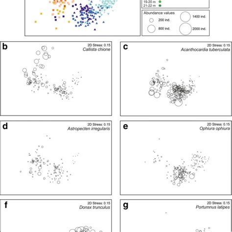 Cluster Based On Quantitative Fourth Root Transformed Abundance Data Download Scientific