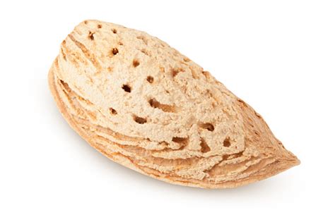 흰색 배경 클리핑 패스 필드의 전체 깊이에 고립 된 셸에서 아몬드 너트 0명에 대한 스톡 사진 및 기타 이미지 0명 개체 그룹 건강한 생활방식 Istock