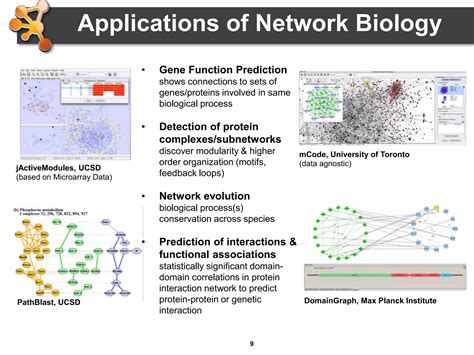 Cytoscape Network Visualization And Analysis Pptx