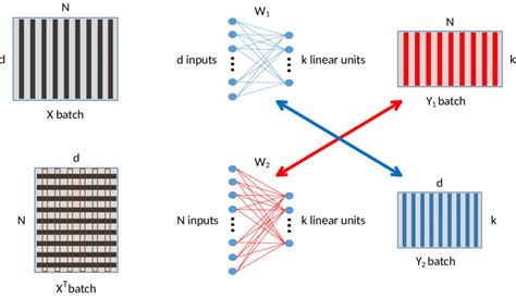 Dual Linear Single Layer Neural Networks Download Scientific Diagram