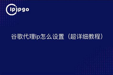 谷歌代理ip怎么设置（超详细教程） ipipgo