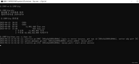 使用frp（快速反向代理）实现内网穿透——以腾讯云服务器为例fast Reverse Proxy Csdn博客