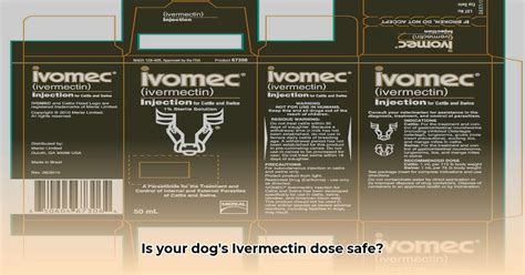 Ivermectin Dosage For Dogs By Weight A Veterinarians Guide Chaztin