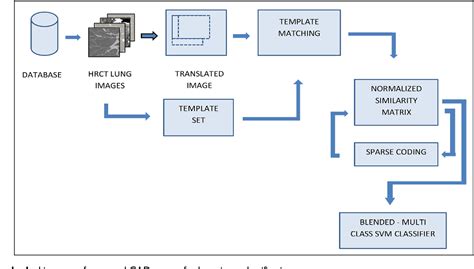 Figure 1 from Interstitial lung disease detection using template matching combined sparse coding ...