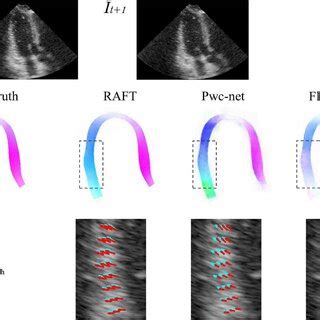Example Of Predicted Optical Flow Patterns For The Different Models Download Scientific Diagram