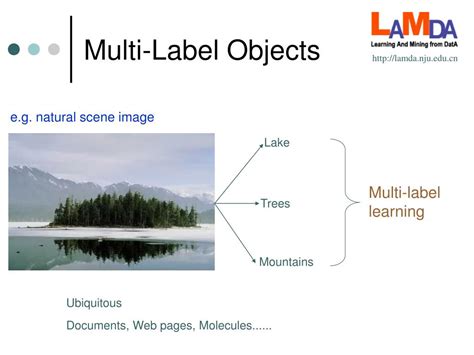 Ppt A K Nearest Neighbor Based Algorithm For Multi Label Classification Powerpoint