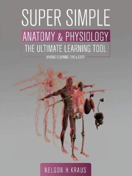 Super Simple Anatomy And Physiology