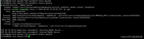 Linux安装MySQL教程带图文命令巨详细 CSDN博客