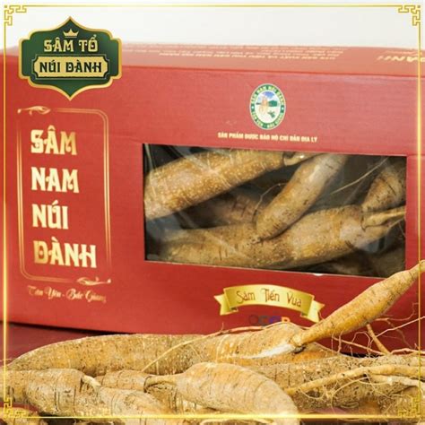 Củ Sâm Nam núi Dành tươi 1kg Sâm Tổ núi Dành Sâm Tổ Núi Dành