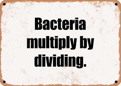 7 X 10 Metal Sign Bacteria Multiply By Dividing Rusty Vintage Look Walmart Com