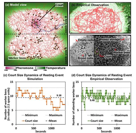 Figure 4 From A Minimally Invasive Approach Towards Ecosystem Hacking