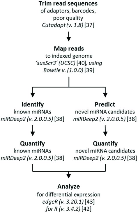 overview of rnaseq data analysis workflow of the bioinformatics tools