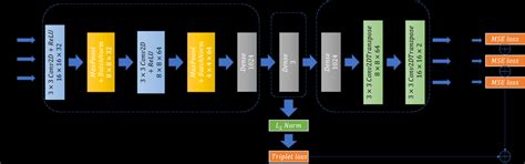 The Architecture Of The Deep Convolutional Auto Encoder And The Losses Download Scientific