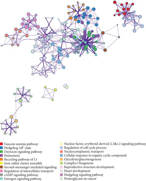 The Metascape Analysis Results A Top Enrichment Results Of
