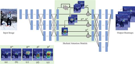 Figure 2 From Human Pose Estimation Using Skeletal Heatmaps Semantic Scholar