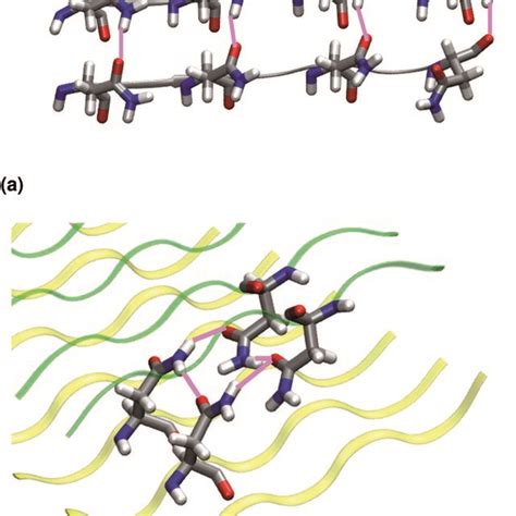 A Intra Sheet Hydrogen Bonds Involving Serine Side Chains B