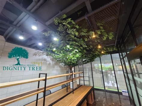 사무실인조나무 인테리어 수원 명도닷컴에 푸른 조화올리브나무 설치 후기 네이버 블로그