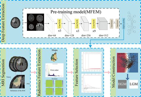 The Pipeline Of Our Method Mfem Meningioma Feature Extraction Model Download Scientific