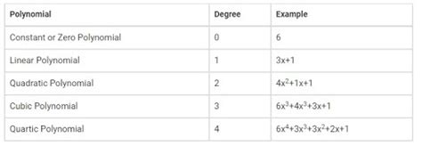 Maths Study Polynomials And Types Of Polynomials