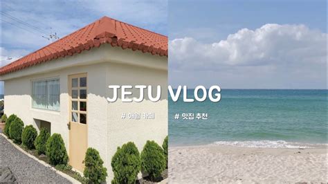 제주 여행 브이로그 🍊 제주 애월 카페 맛집 Jeju Vlog Youtube