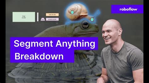 Segment Anything Model Sam Instance Segmentation Model What Is How To Use