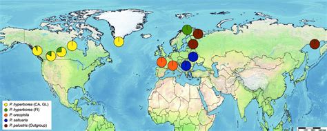 pie chart map of snps showing genetic admixture of pardosa species