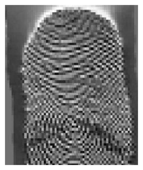 Dwt Level 2 Ll Subband Image Of Test Image Download Scientific Diagram