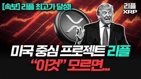 속보 리플 최고가 달성 미국 중심 프로젝트 이것” 모르면 Youtube