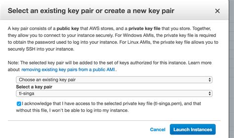 通过 Aws Lambda 和 Autoscaling 实现高可用的企业全球一张网（二） 亚马逊aws官方博客