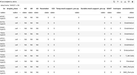 Converting From H5seurat To H5ad Messes Up Observational Metadata · Issue 137 · Mojaveazure