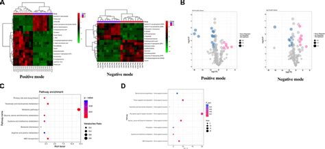 Metabolomics Data Analysis For The Identification Of Potential Download Scientific Diagram