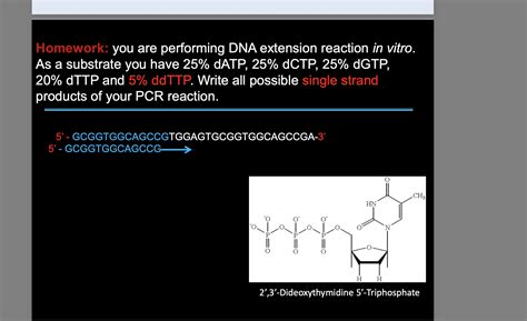 Homework You Are Performing Dna Extension Reaction